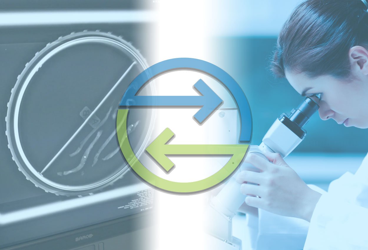 The Imperative of Imaging and Pathology Communication in Stereotactic ...