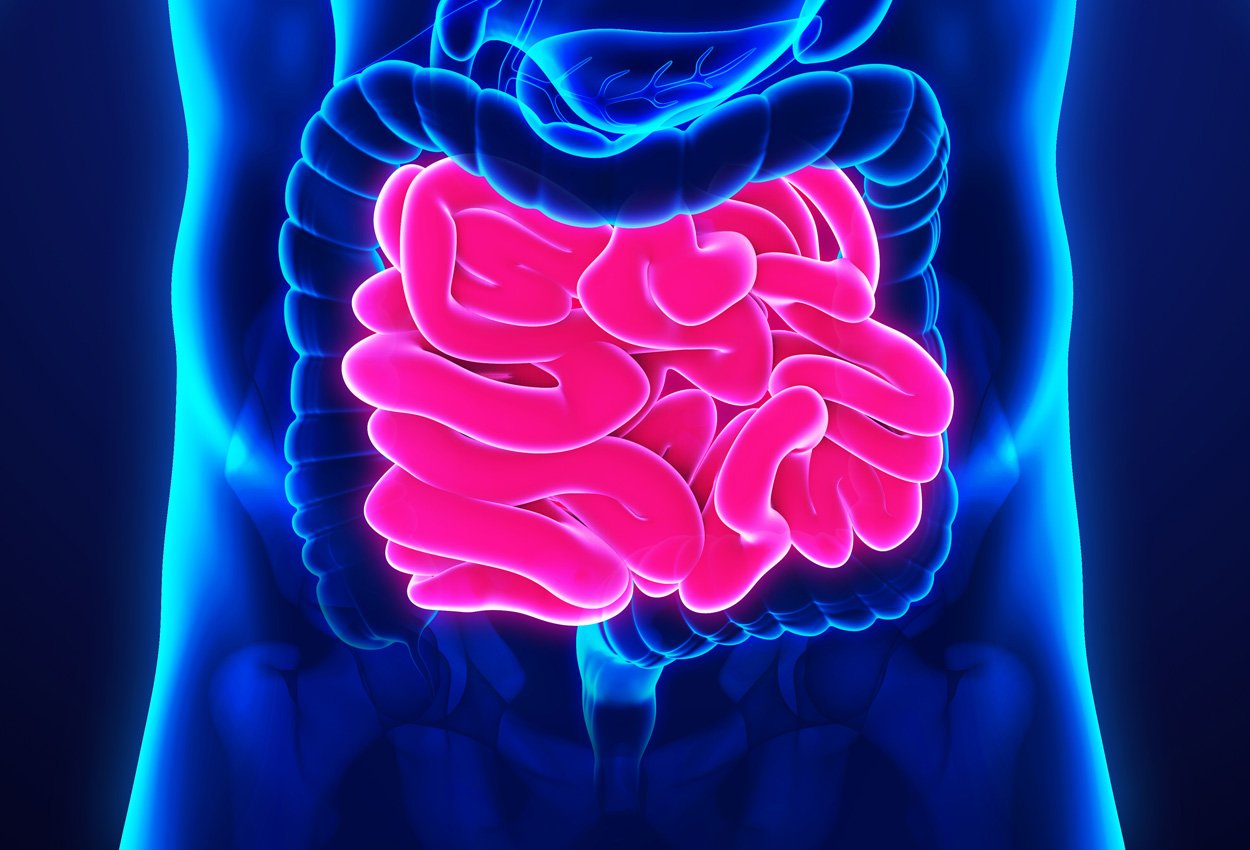 Current Trends in Small Bowel Imaging