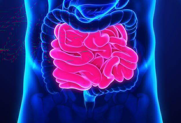 Current Trends in Small Bowel Imaging